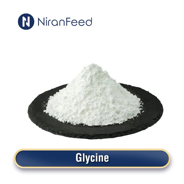 Glycine - NiranFeed